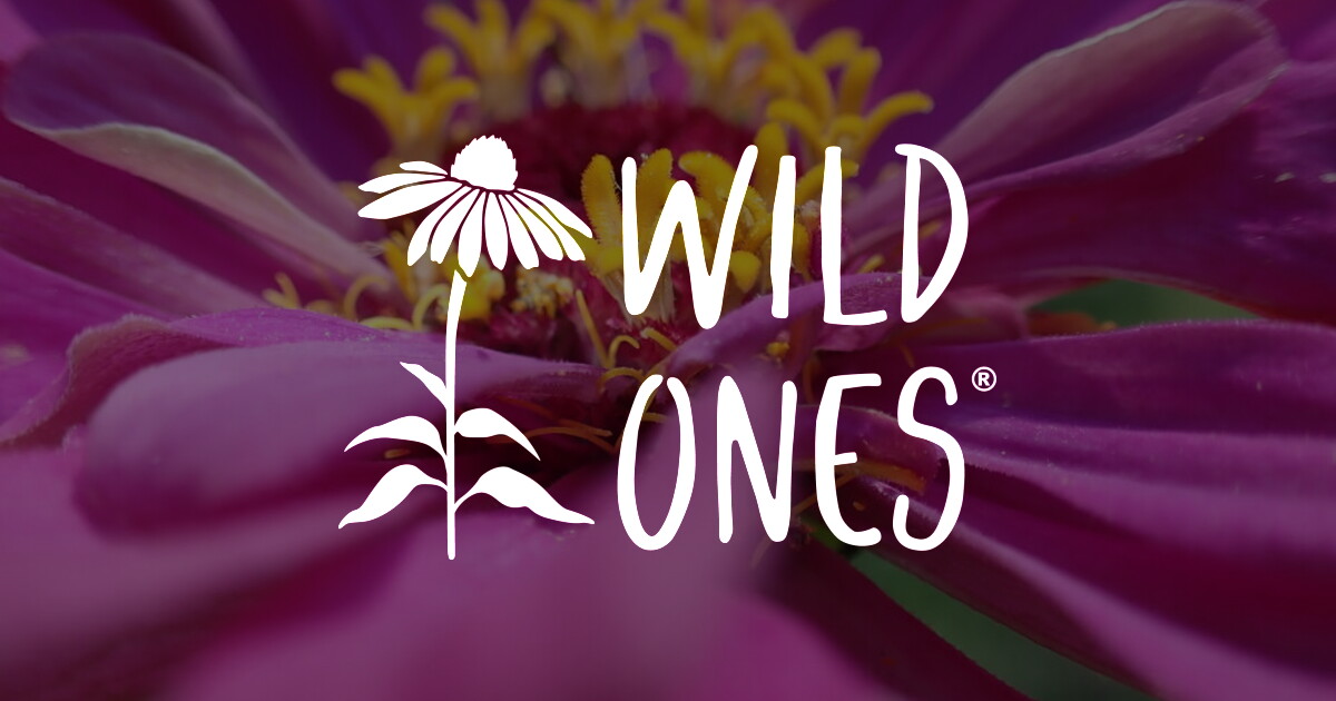 Volunteer - Wild Ones: Native Plants, Natural Landscapes