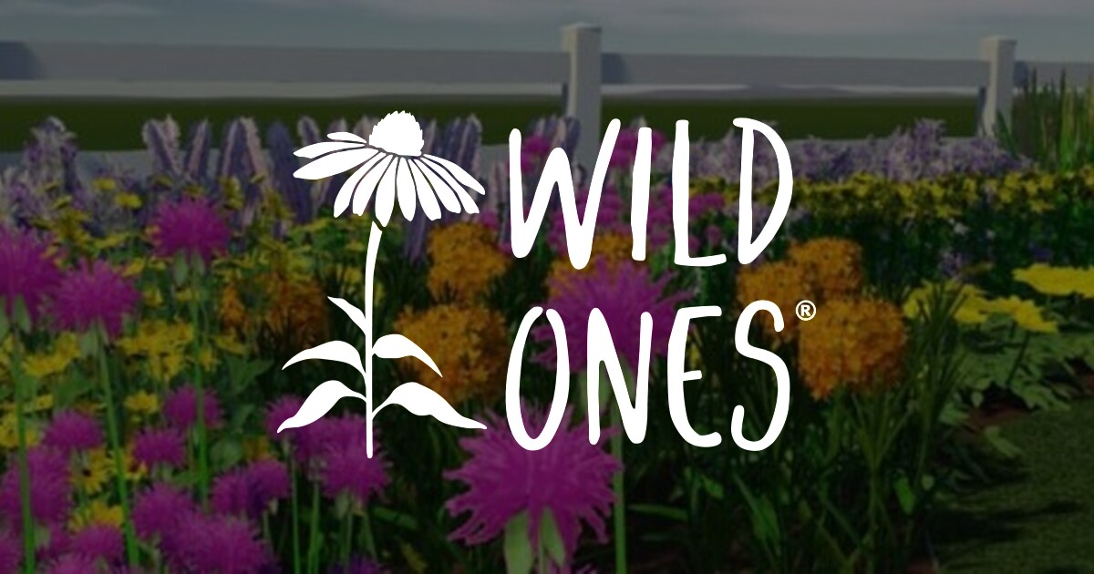 Wild Ones Introduces Free, Native Garden Designs - Wild Ones: Native ...