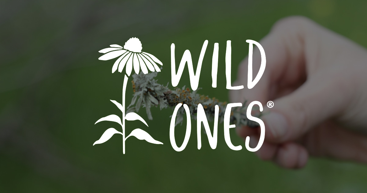 February 2024 Native Plant News - Wild Ones: Native Plants, Natural ...