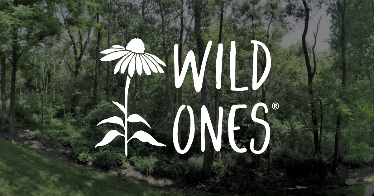 Member Garden: Deb and Ray Rees - Wild Ones: Native Plants, Natural ...