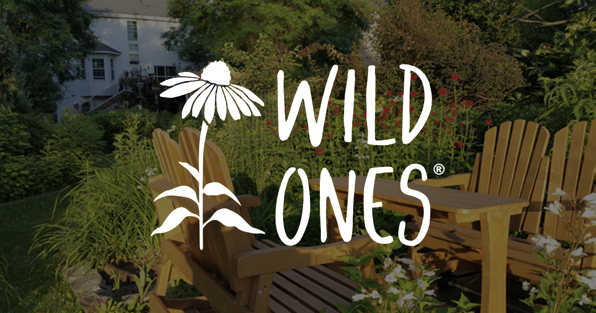Member Garden: Marilynn and Tom Torkelson - Wild Ones: Native Plants ...