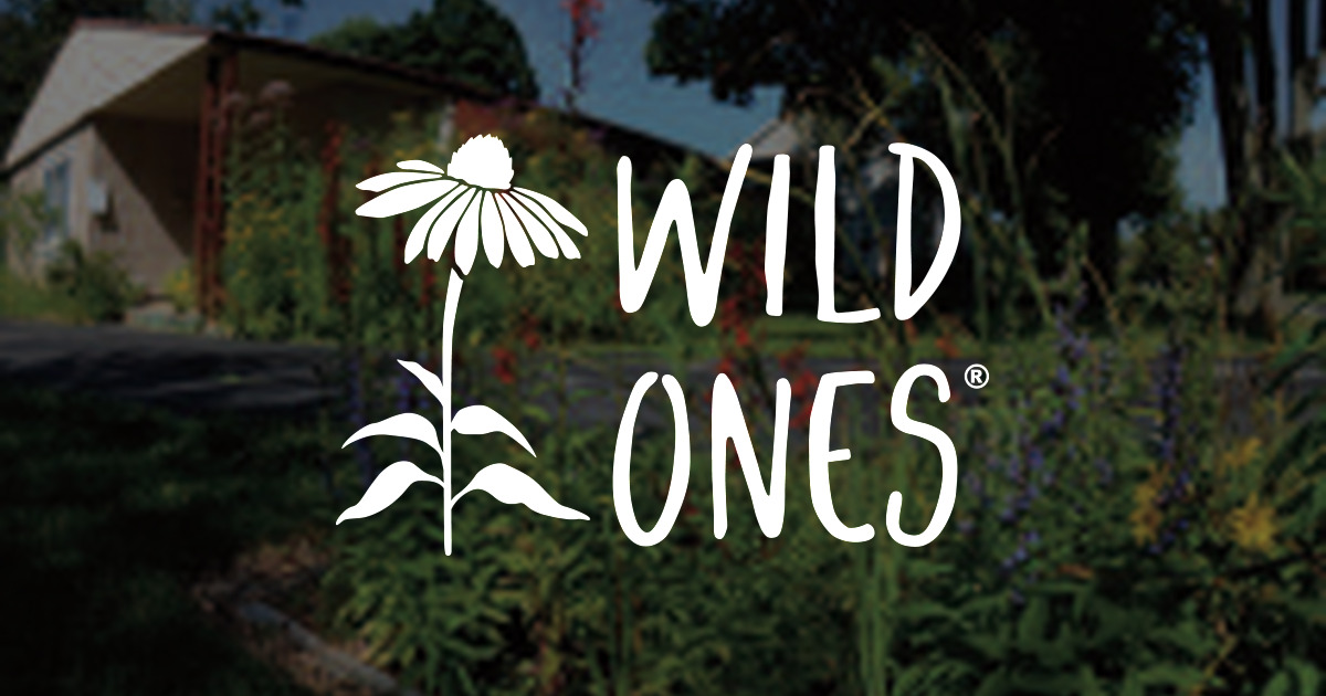Member Garden: Todd Crail - Wild Ones: Native Plants, Natural Landscapes