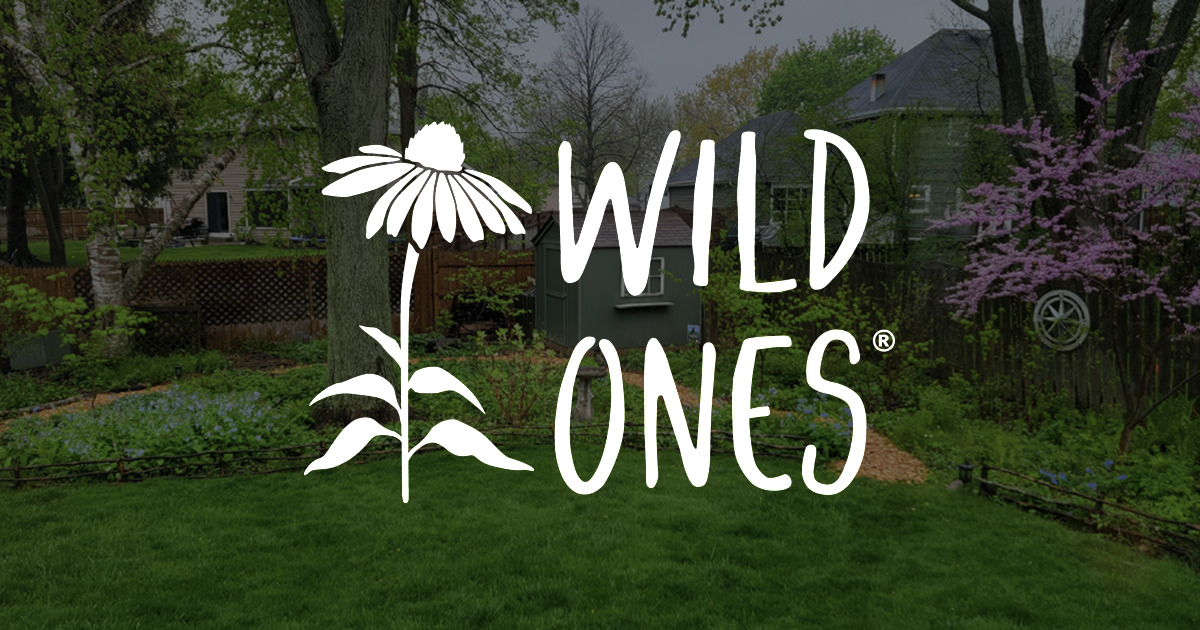 Member Garden: David Neu - Wild Ones: Native Plants, Natural Landscapes