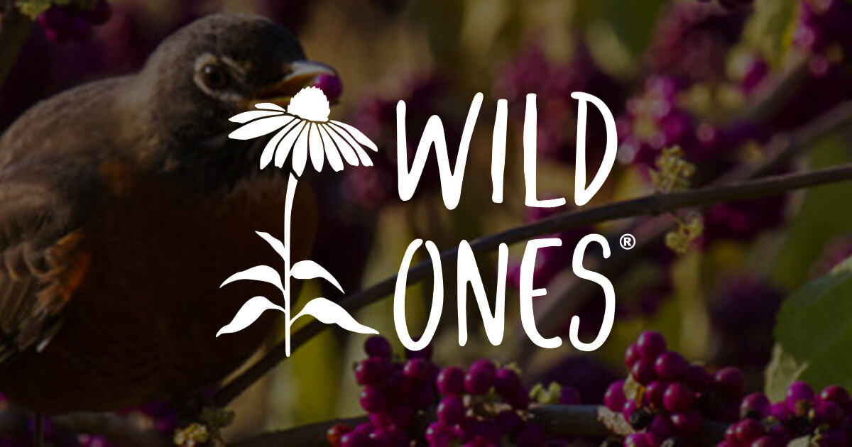 Become a Wild Ones Journal Sponsor - Wild Ones: Native Plants, Natural ...