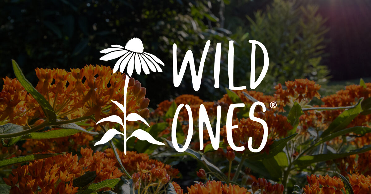 Invest in the future of Native Landscaping- Donate to the Wild Ones ...