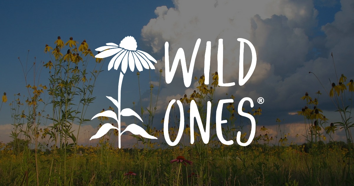 After the Storms-Supporting Recovery Efforts for Hurricanes Helene and ...