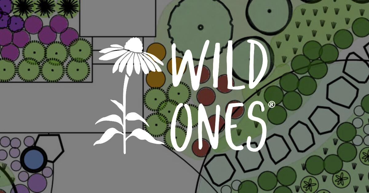 Minneapolis - Native Garden Designs