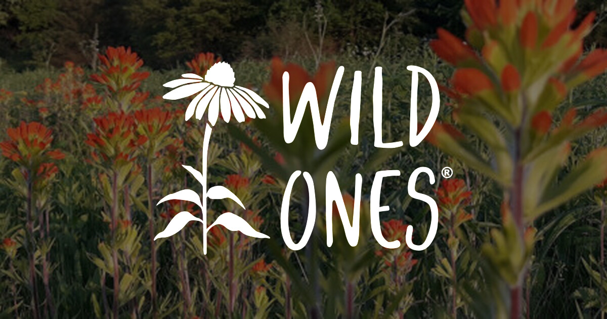 Contact Wild Ones - Native Garden Designs