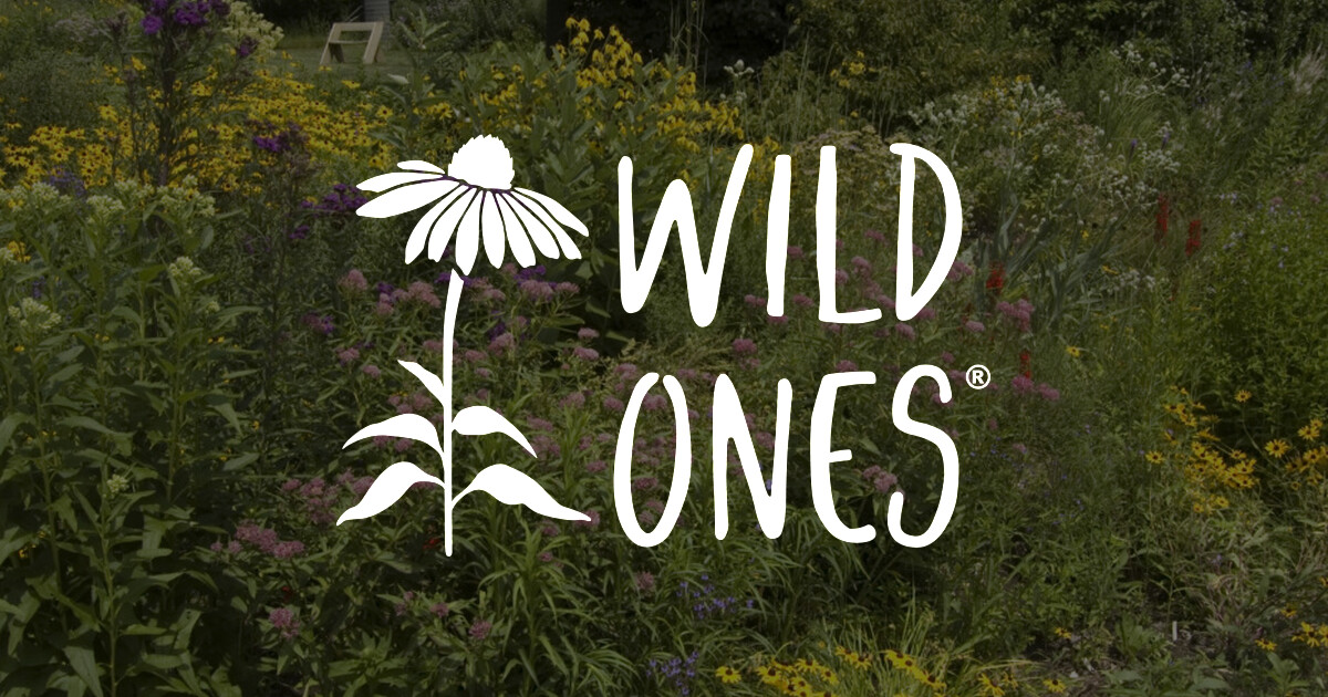 Native Garden Designs - Wild Ones