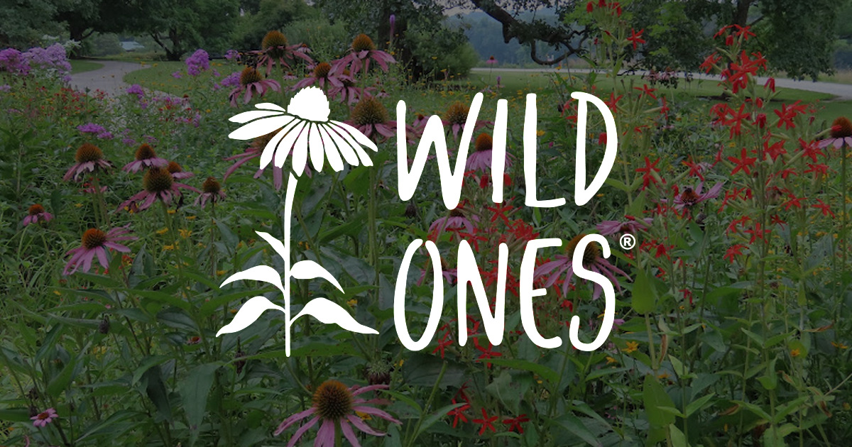 Store Carbon In Your Garden Native Garden Designs