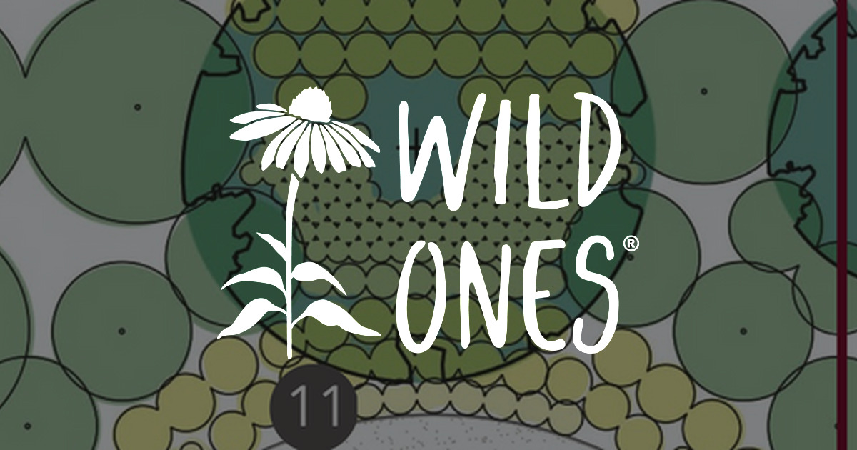 Princeton - Native Garden Designs
