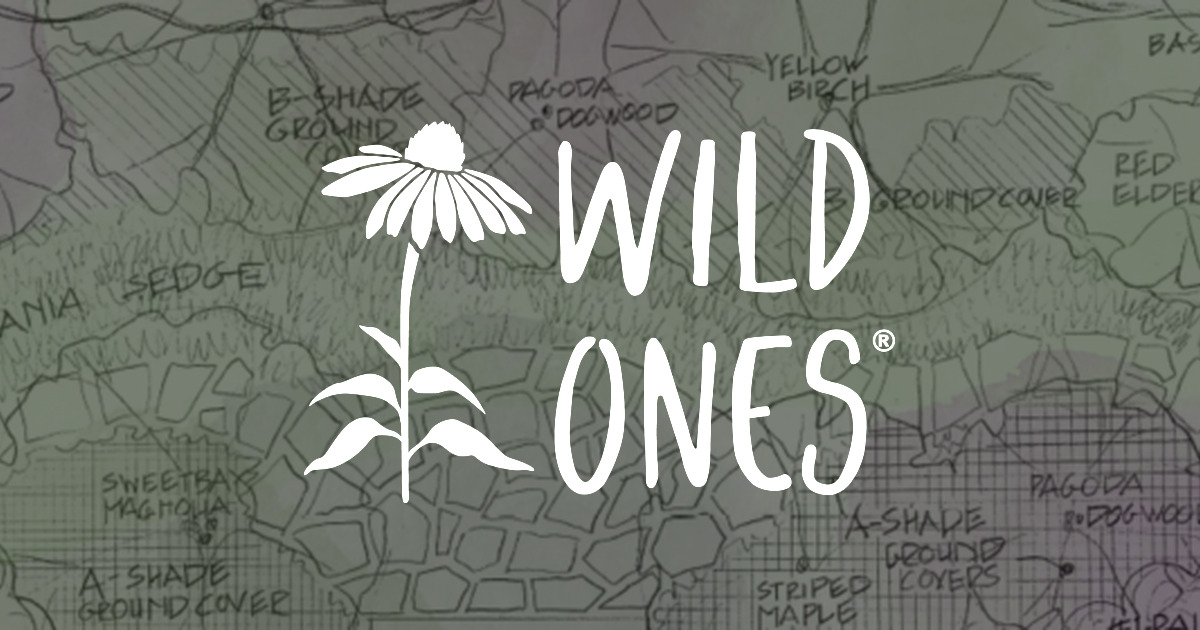 Portland, Maine - Native Garden Designs