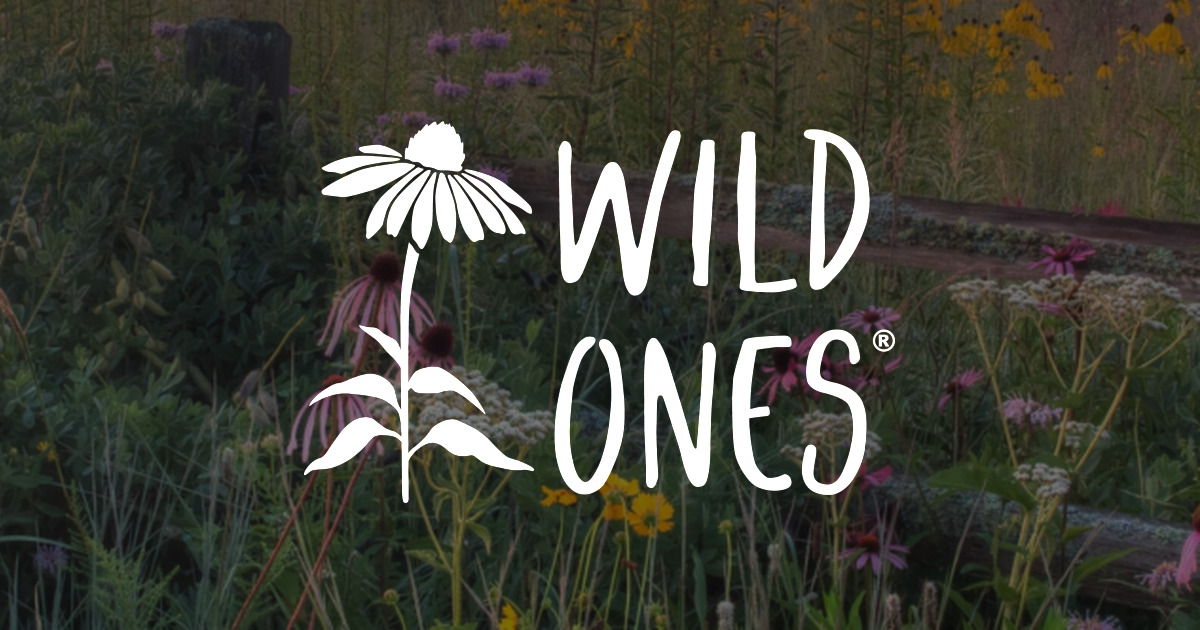 Support Wild Ones this Giving Tuesday - Wild Ones: Native Plants ...