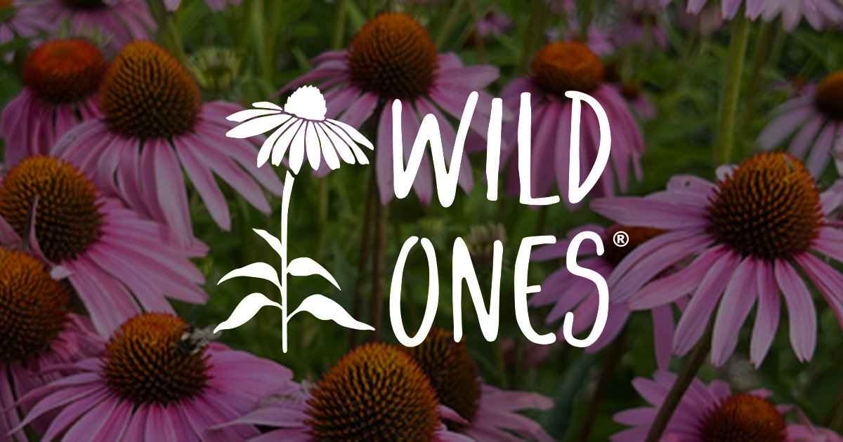 Wild Ones Needs Your Support This Season! - Wild Ones: Native Plants ...