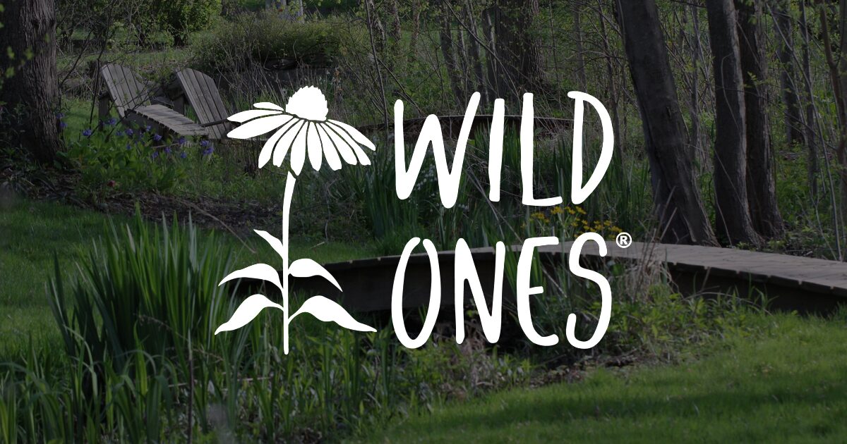 Member Garden: Lynn Kirkpatrick - Wild Ones: Native Plants, Natural ...