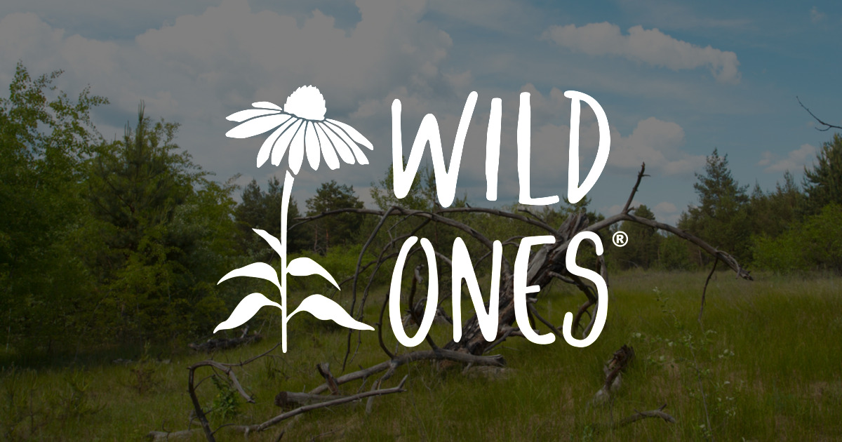 Partnering for a Greener Future: Crown Bees and Wild Ones Join Forces ...