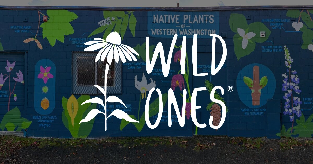 How Art Can Advocate for Native Plant Conservation - Wild Ones: Native ...
