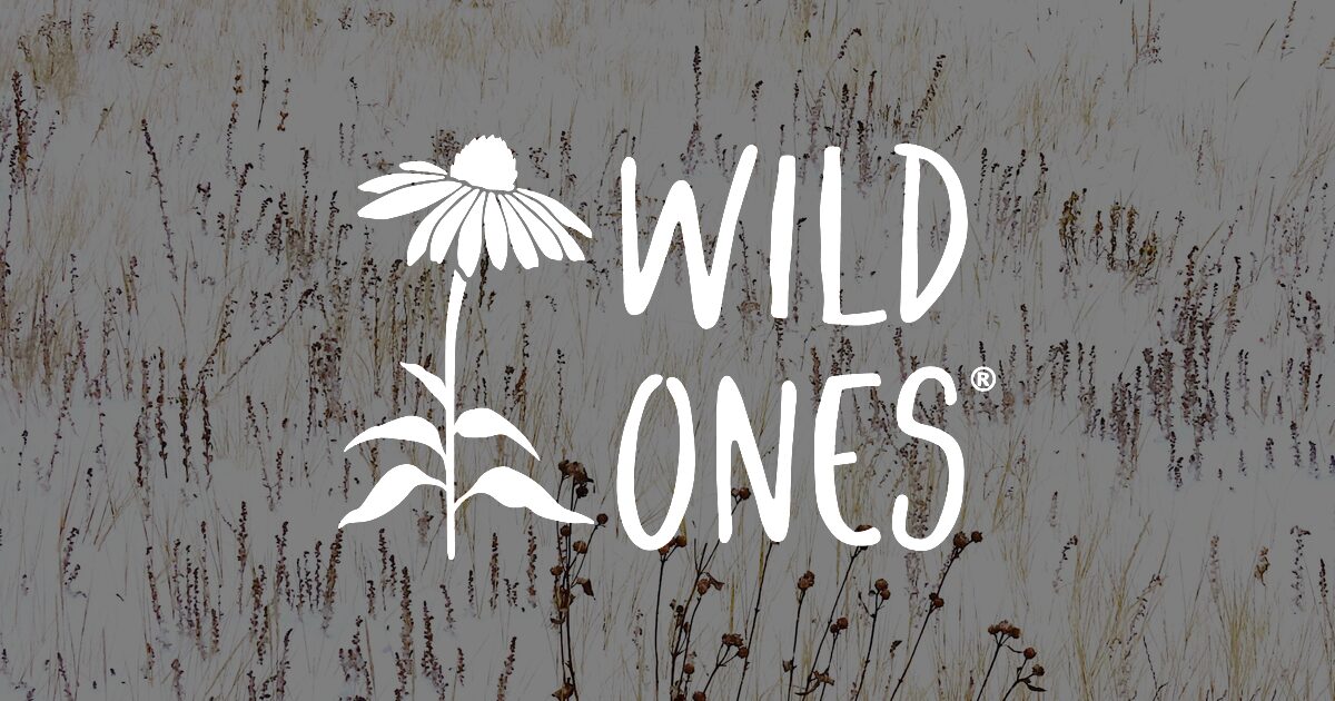 Wishing for Winter Habitat? Plant These Grasses this Spring - Wild Ones ...