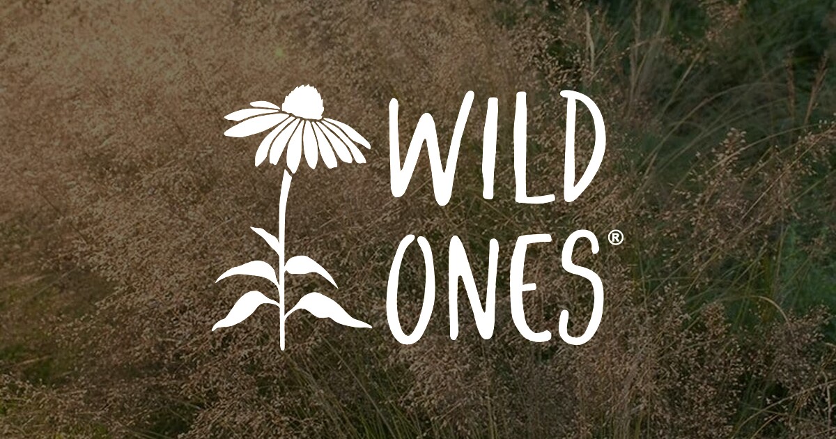 Book Review: The Light Eaters by Zoë Schlanger - Wild Ones: Native ...