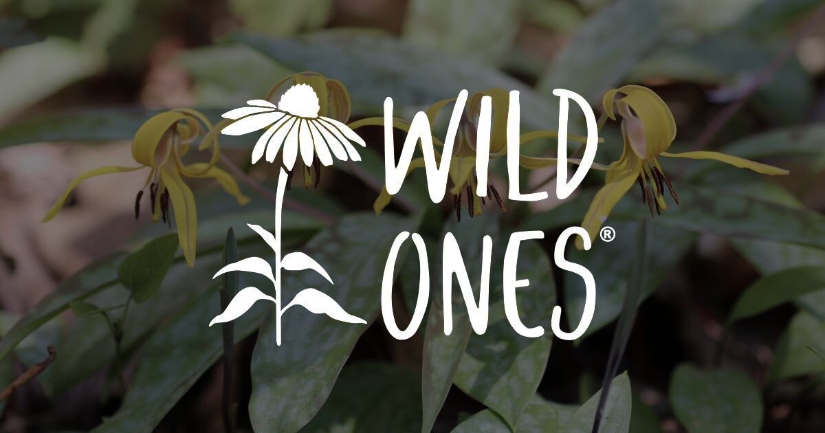 5 Books To Preorder For Spring 2026 - Wild Ones: Native Plants, Natural ...