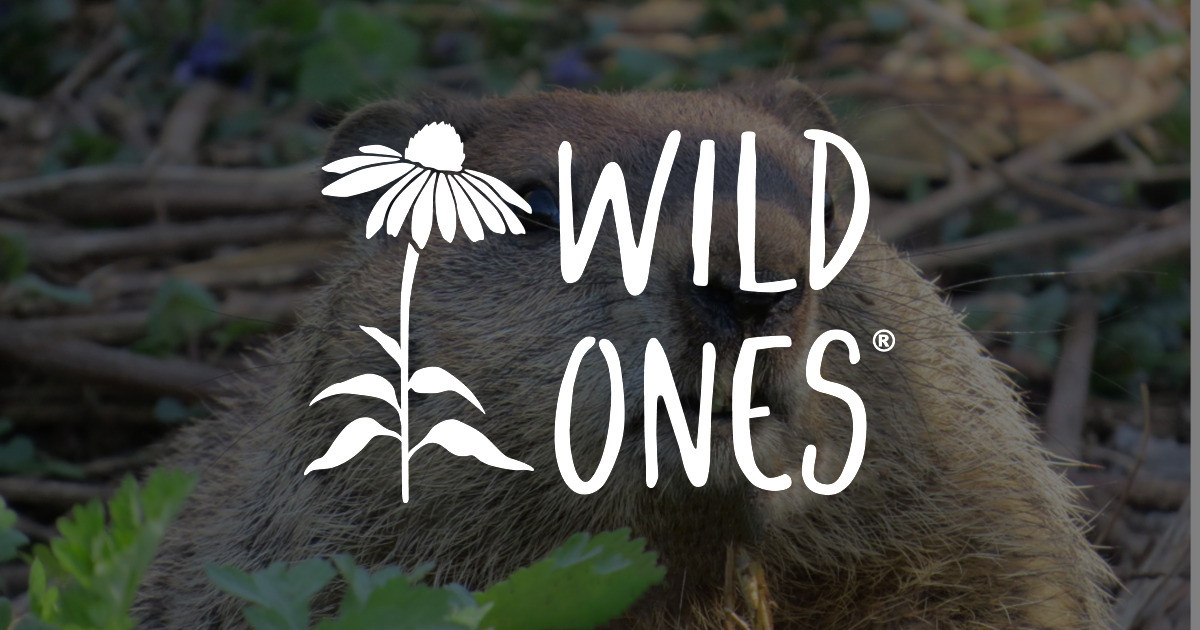 What Groundhogs Know About Seasonal Gardening That You Don’t - Wild ...