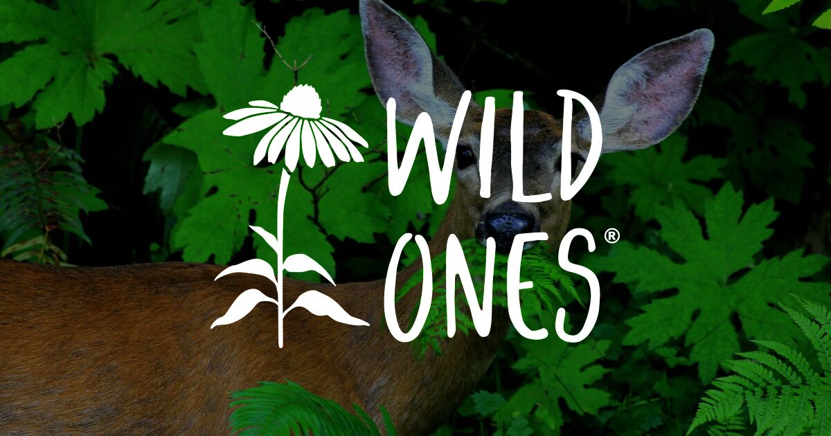 Layer by Layer - Wild Ones: Native Plants, Natural Landscapes