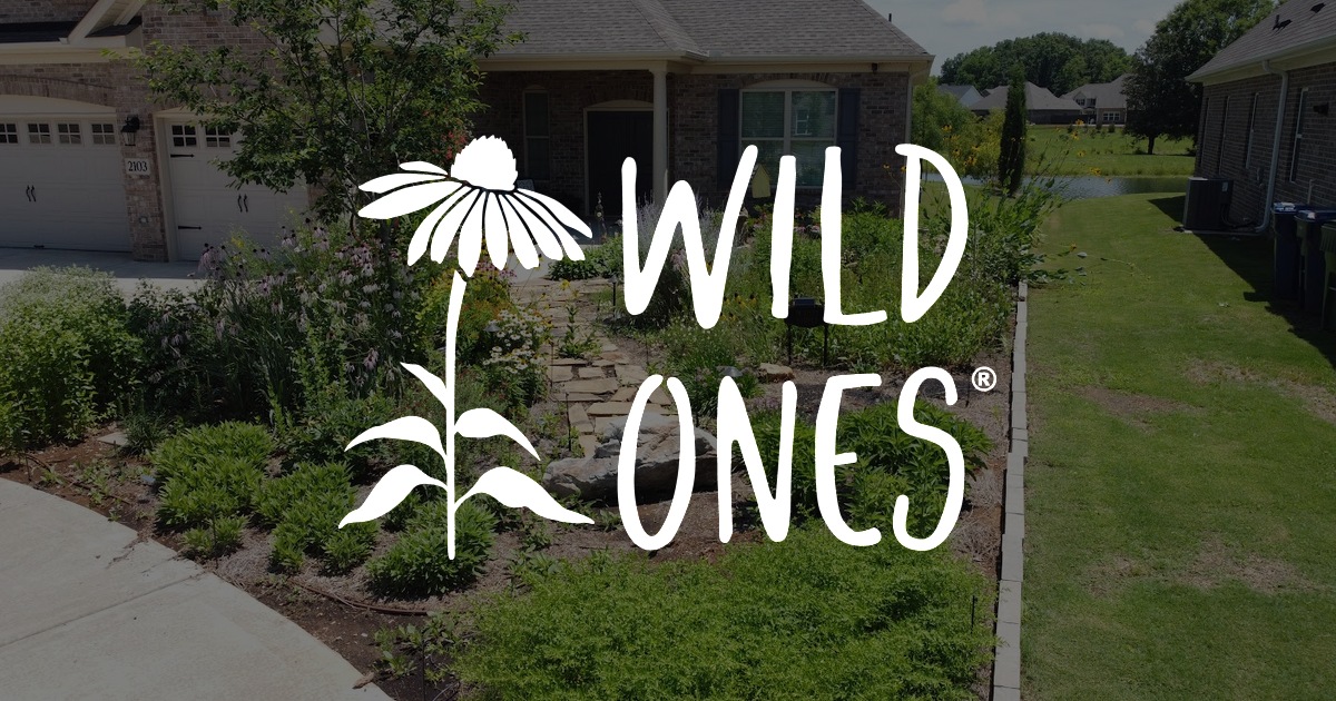 Native Plants Planted Right A Practical Guide For Beginners Wild