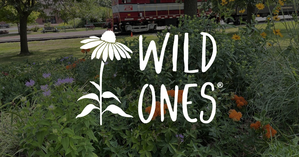 Grow Where You Are: Native Garden Designs That Bring Habitat Home - Wild Ones: Native Plants ...