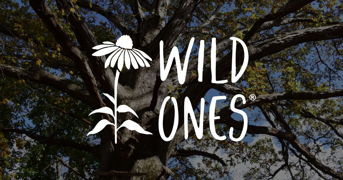 From Wasteland to Wonder - Wild Ones: Native Plants, Natural Landscapes