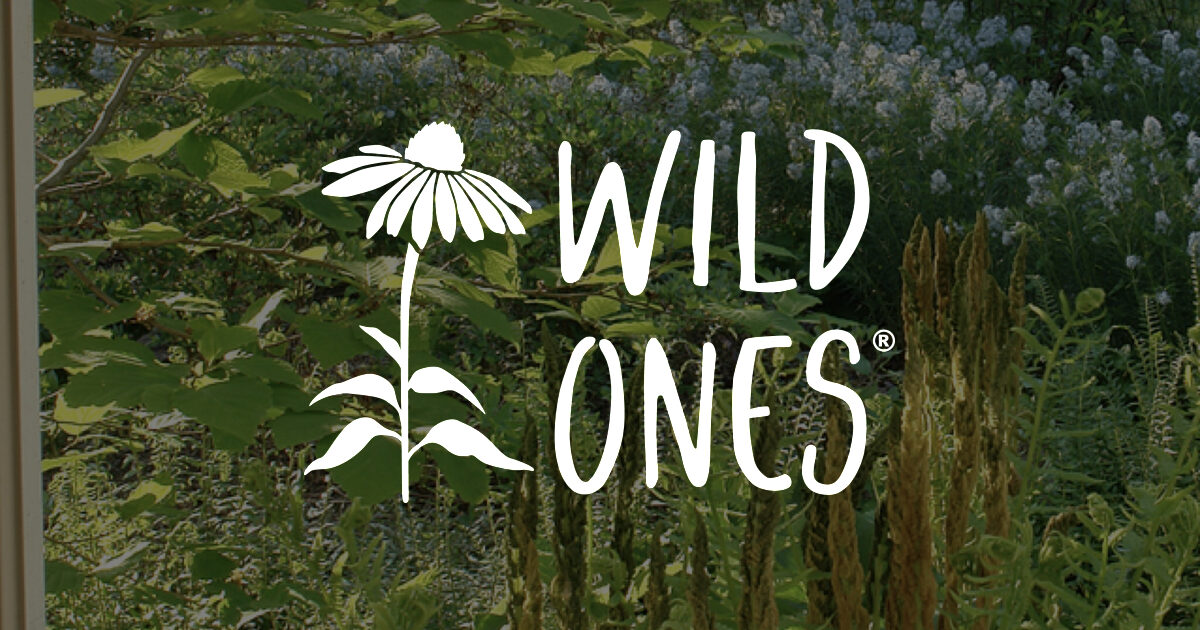What Is Wild and Why It Matters: Free Webinar with Rick Darke on Native ...