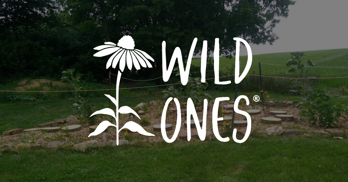 Wild Ones Awards over $10,000 in Seeds for Education Grants to 23 Youth ...