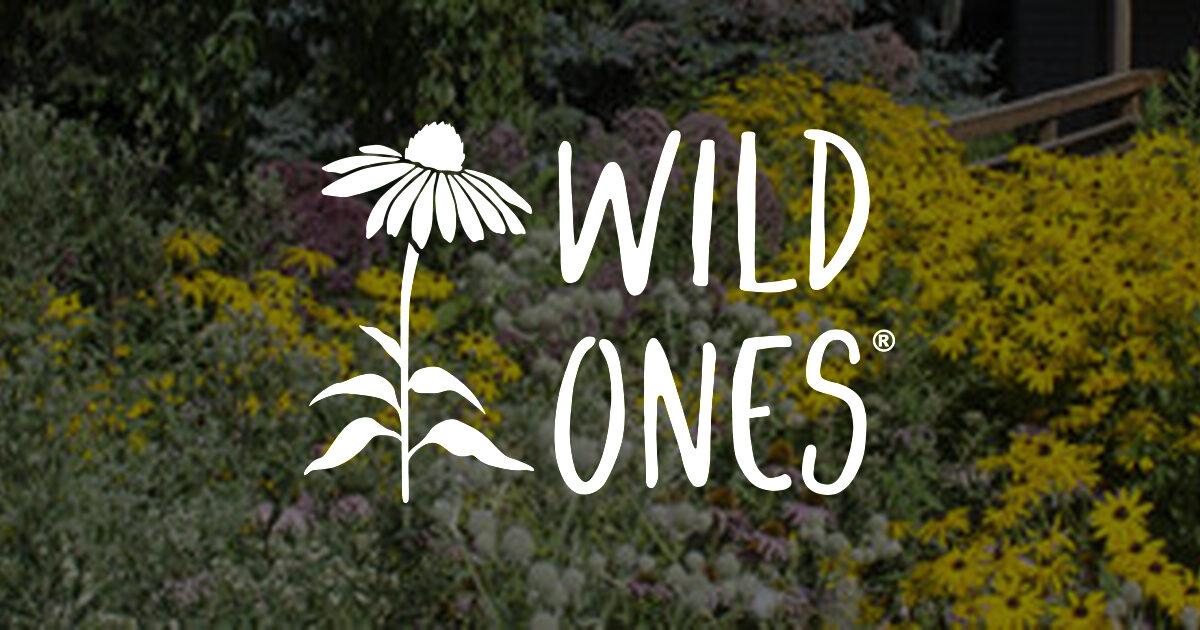 Wild Ones Receives “Tom Dodd, Jr. Award Of Excellence” at Cullowhee ...