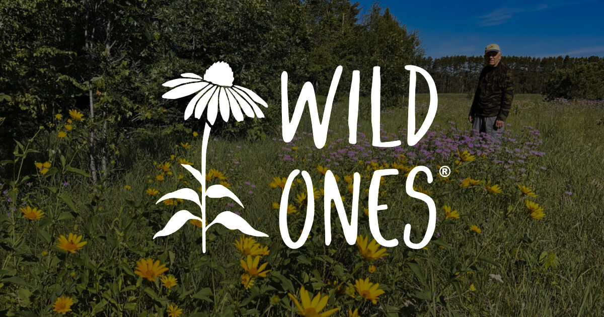 Rooted in Action: Celebrating Wild Ones Volunteers - Wild Ones: Native ...